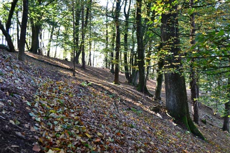 "Archäologisches Wandern" Neuer Wanderführer zur Archäologie in ...